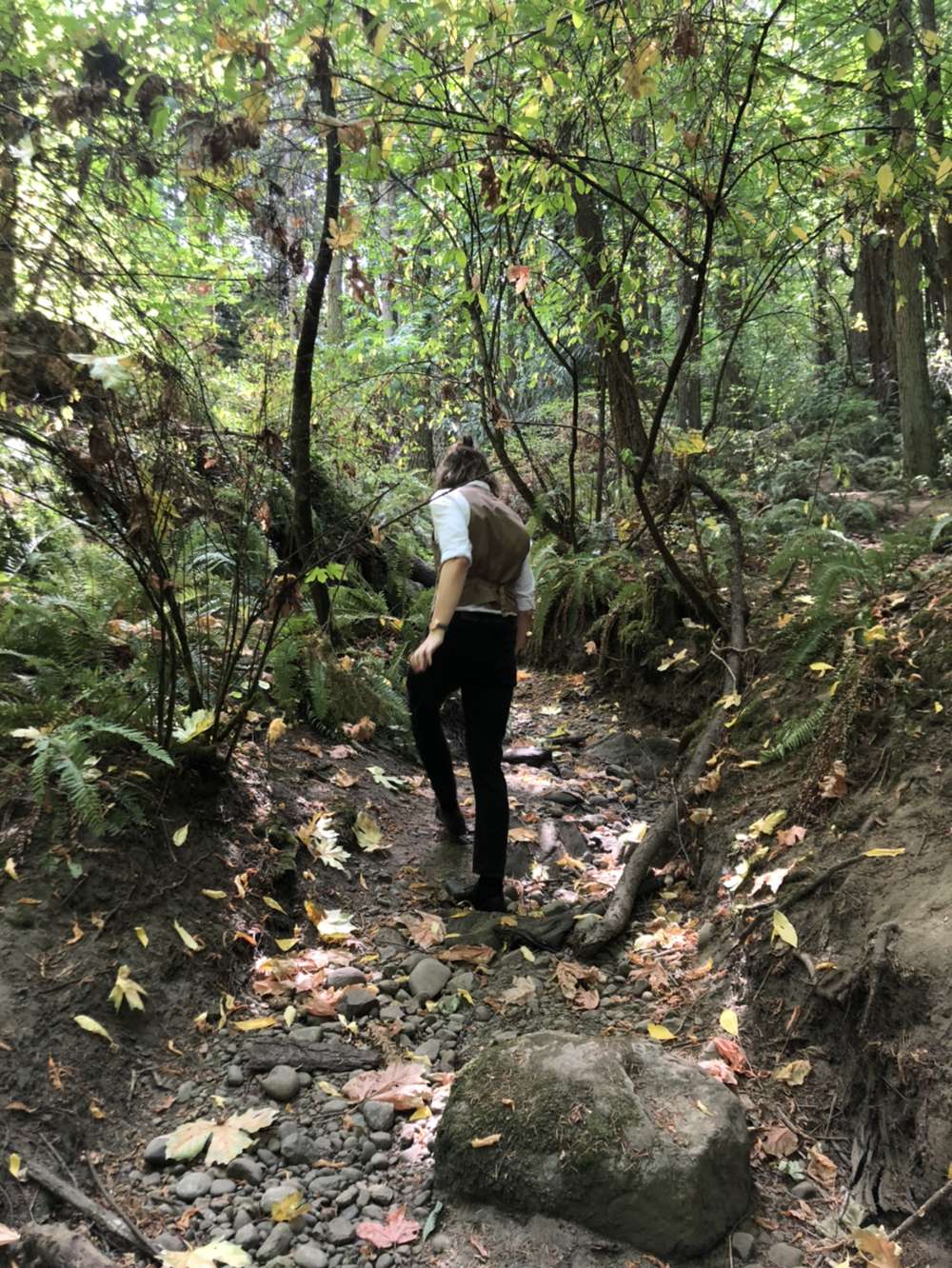 Professional Game Master - Fitz (Also Dragons) | StartPlaying