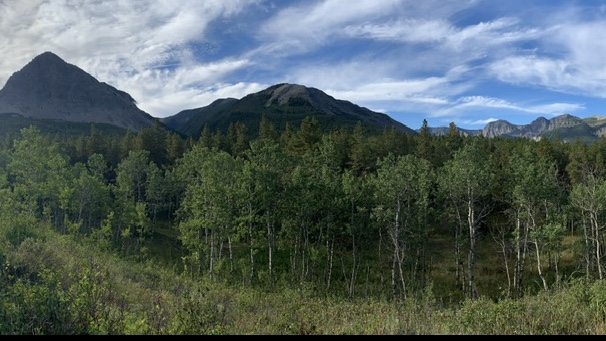 Play Dungeons & Dragons 5e Online | Dungeons & Dragons 5e | New ...