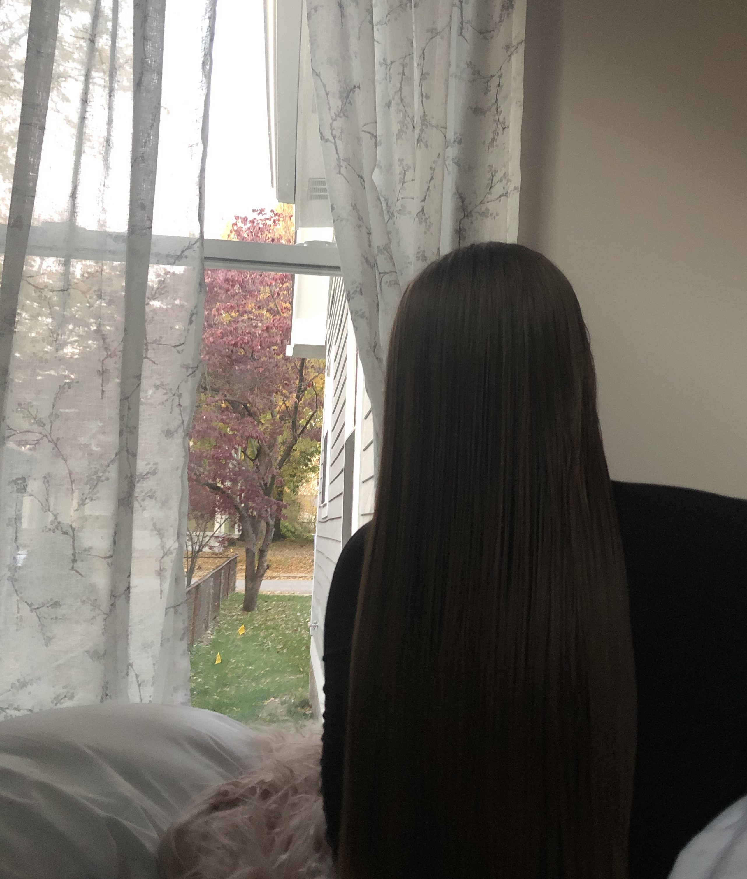 Professional Game Master - Viridi Venatrix | StartPlaying