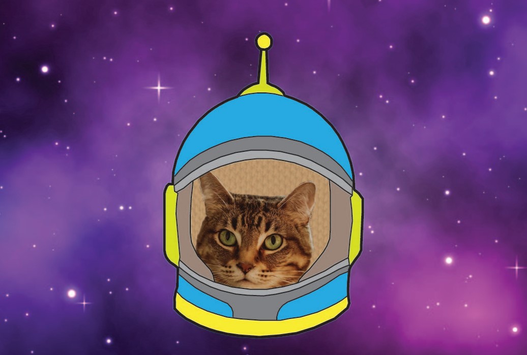 Professional Game Master - Kitty Fleet Commander | StartPlaying