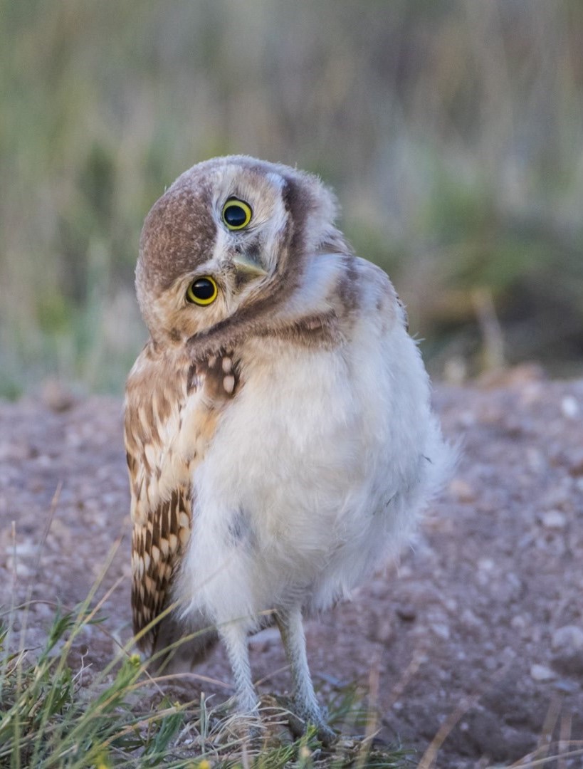 Professional Game Master - Cameron | StartPlaying